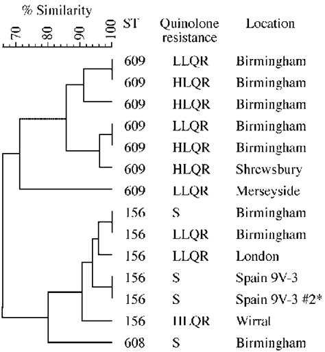 Upgma Dendrogram Of Relationships Between Representative Isolates Based