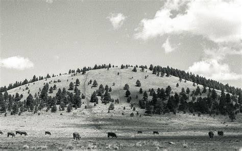 무료 이미지 검정색과 흰색 단색화 역사 흑백 사진 3286x2055 13070 무료 이미지 Pxhere