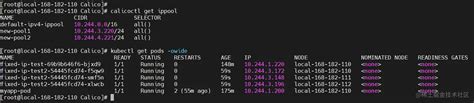 kubernetes（k8s）cni（calico）网络模型原理一、概述 github地址： githu 掘金