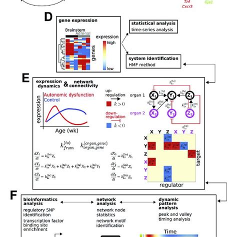 Conceptual Experimental And Analytic Framework For Examining