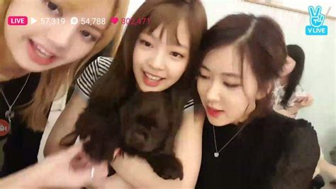 170426 Blackpink Vlive Blink 블링크 Amino