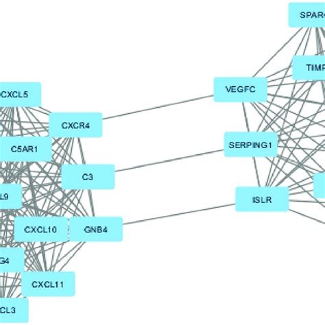 Schematic Workflow Of The Bioinformatics Pipeline Used For The Search