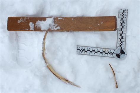 Шадринец забивший до смерти собственного отца предстанет перед судом