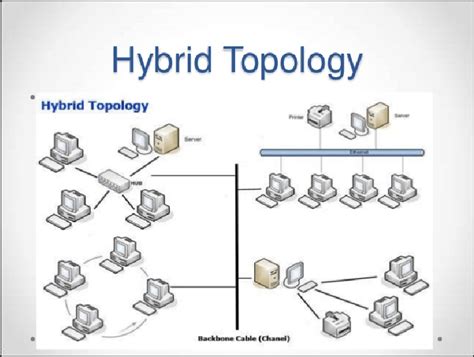 Hybrid Topology Credit Slideshare Net Download Scientific Diagram