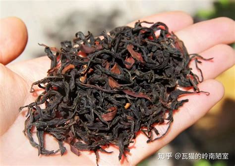 笔记 云南滇红茶 野生红 知乎