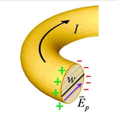 A Polarization Electric Field Ep Occurs As A Result Of The