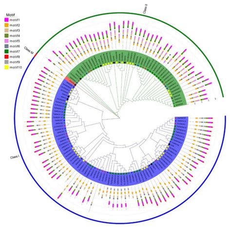 Ijms Special Issue Comparative Genomics And Functional Genomics Analysis In Plants
