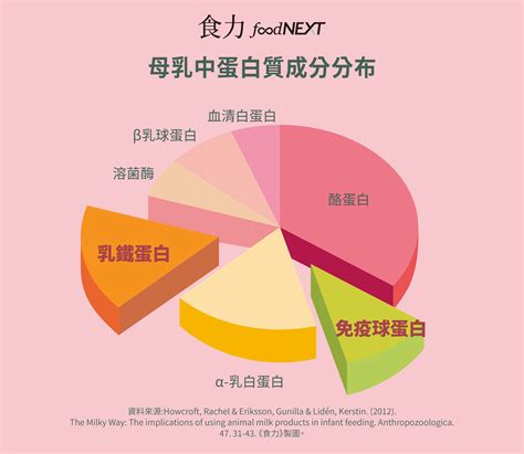 【食聞】如何延續母乳保護力？營養師孫語霙提醒：爸媽一定要知道的免疫大軍「乳鐵蛋白、免疫球蛋白」！