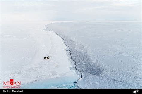 بهترین عکس های نشنال‌ژئوگرافی