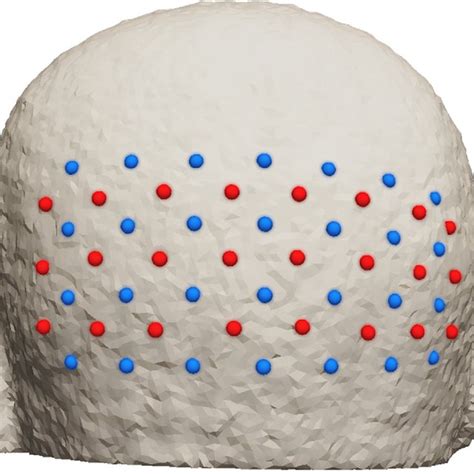 Array Of 24 Sources Red And 28 Detectors Blue Placed On The Back Of