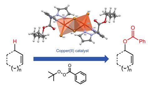 Copper Acetate Complex At James Marcantel Blog