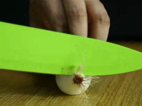 How To Cut Spring Onions Food Tribune