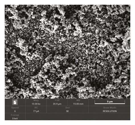 SEM Photographs Of Fe3O4 Nanoparticles A SEM Image Of The Fe3O4 Nano Download Scientific