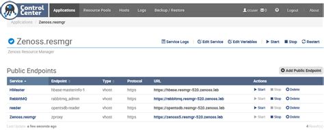 creating a virtual host public endpoint zenoss service dynamics