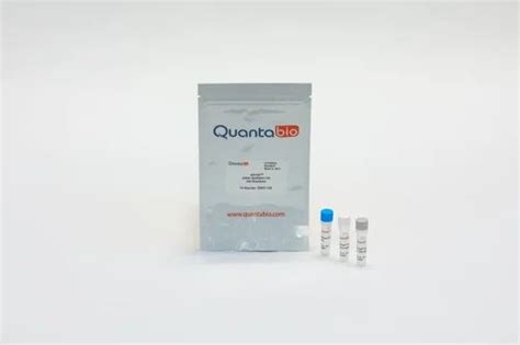 Quantabio Qscript Cdna Synthesis Kit At Rs 10000 Dna Extraction Kit In Srinagar Id