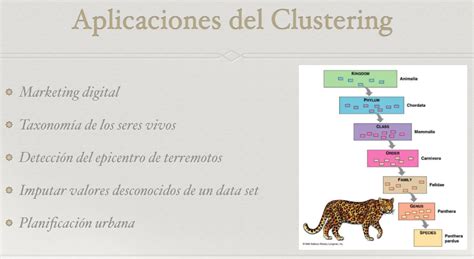 ElectrobÓveda Data Science Clustering Y Distancia Teoría