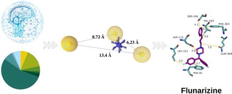 Dopamine Receptors Schizophrenia