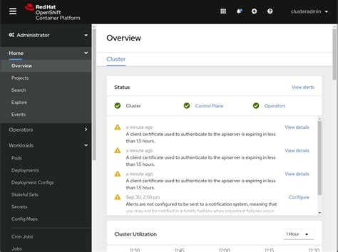 Openshift Service Mesh Essentials — Part Ii — Control Plane By Luis Javier Arizmendi Alonso