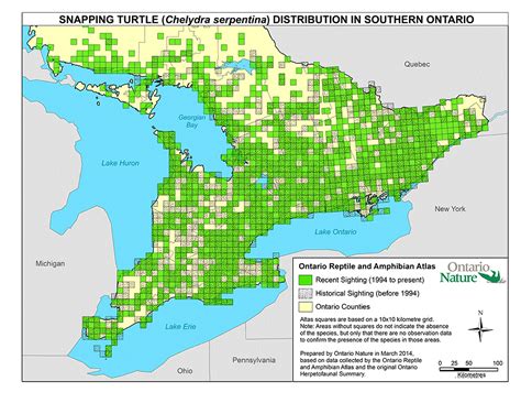 Alligator Snapping Turtle Range Map The Alligator Snapping Turtle Is A Massive Highly Aquatic