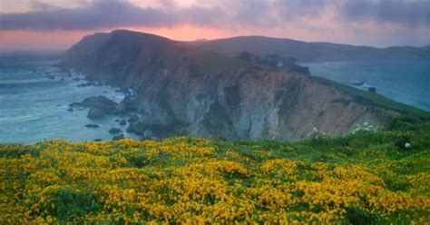 4 Most Vibrant Spots To See In Northern California