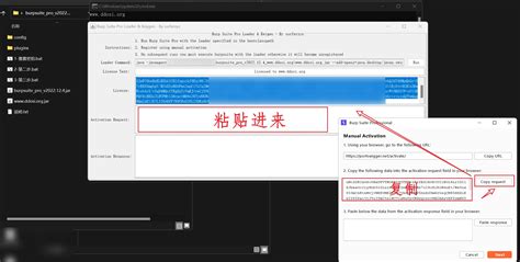 Burpsuite Pro 20236破解版 Cracked 新增bcheck 🔰雨苁ℒ🔰
