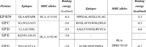 Binding Energy Of Suggested T Cell Epitopes With Selected Mhc Class I