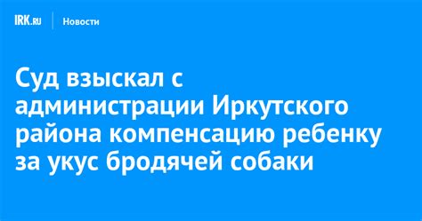 Суд взыскал с администрации Иркутского района компенсацию ребенку за укус бродячей собаки