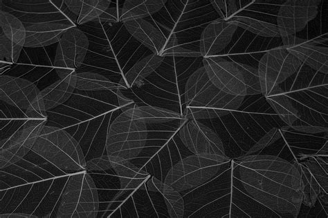 Depth First Search Dfs Algorithm Exploring The Depths Of Graph
