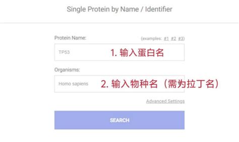 干货分享 Cytoscape软件对经string数据 Ppi网络图美化 每日生物评论