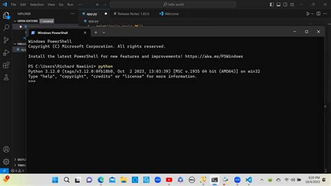 not getting hello world message in vs code terminal python code