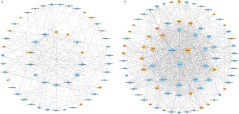 The Core Networks Obtained From The Interaction Network Analysis With Download Scientific
