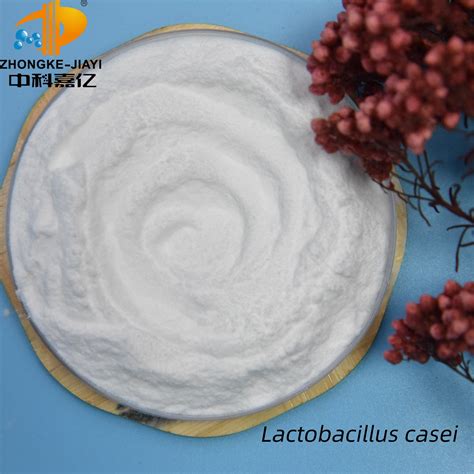 Intestinal Health Probiotic With Freeze Dried Powder Lactobacillus Casei Prostate Probiotic