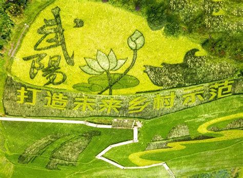 寓教于乐融情于景文成新增1家生态文明教育基地 澎湃号政务 澎湃新闻 The Paper