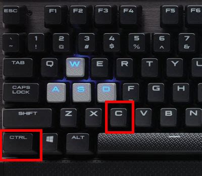 How To Paste Cut And Copy With Keyboard Commands Bleeping World