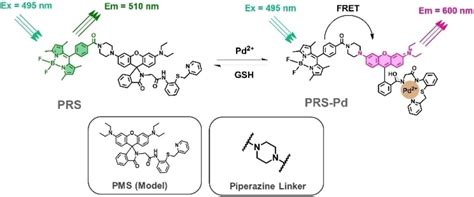 A Piperazine Linked Rhodamine‐bodipy Fret‐based Fluorescent Sensor For