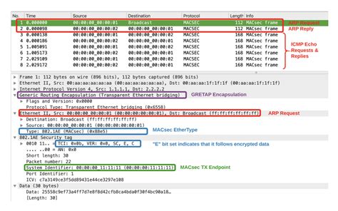 Macsec Over Wan Costiserro