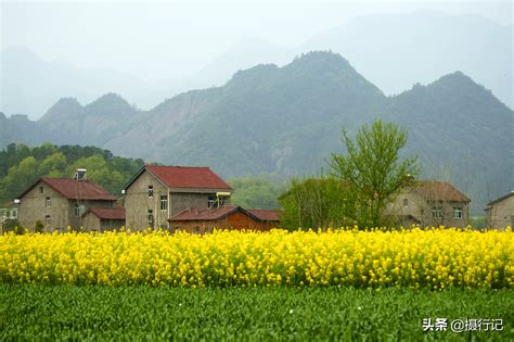 春天风景乡村 春天风景花卉 大山谷图库