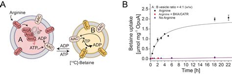 Synthetic Mitochondria Research Communities By Springer Nature