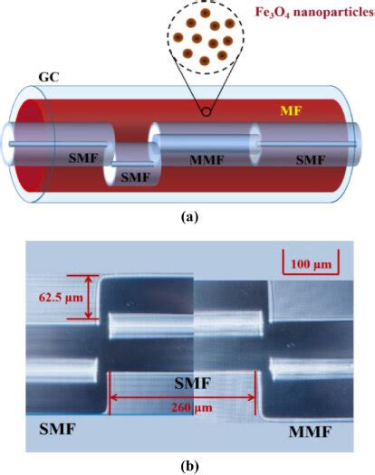 Structure Of The Mf Infiltrated Large Core Offset Mzi Vector Magnetic Download Scientific