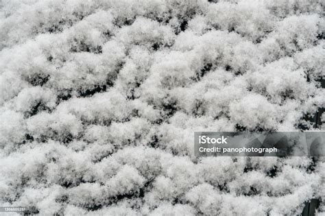 눈 덮인 자동차 추운 겨울 아침에 자동차에 신선한 눈 도로에 눈으로 겨울 시간에 운전의 개념 겨울 복사 공간 0명에 대한 스톡 사진 및 기타 이미지 Istock