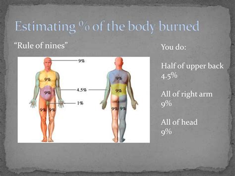 Ppt Skin Disorders Burns And Skin Cancer Powerpoint Presentation Free