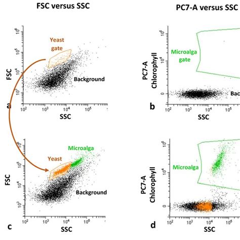 A B And C FSC SSC Dot Plots Concerning A Pure Yeast Orange A Pure
