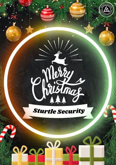 Merrychristmas Hacktheholidays Ethicalhacking Sturtle Security Pvt
