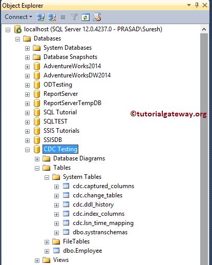 SQL Server Change Data Capture