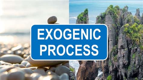 Exogenic Processes Pptx
