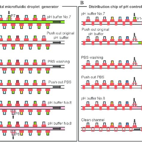 figure s6 schematic of the process of switching ph control buffer download scientific diagram