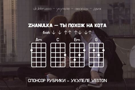 Ты похож на кота Аккорды для укулеле Zhanulka