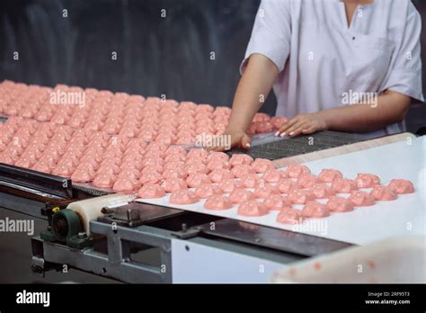 Worker Sorting Hi Res Stock Photography And Images Alamy