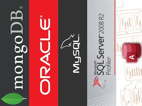 Design Database Create Erd Sql Queries Assignments Mysql By