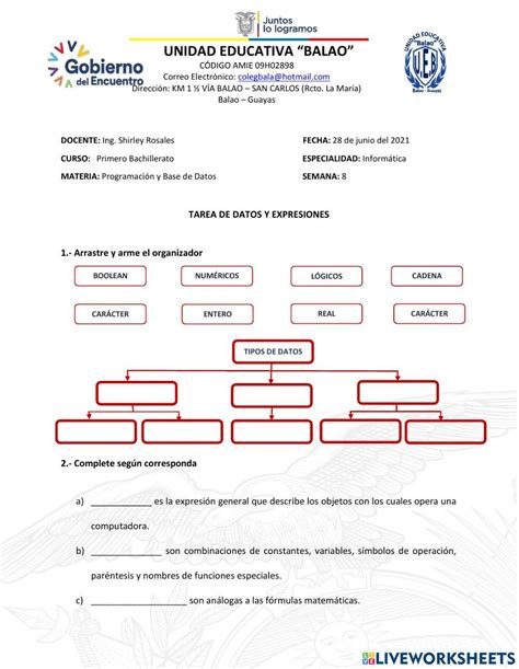 Datos Y Expresiones Worksheet Live Worksheets